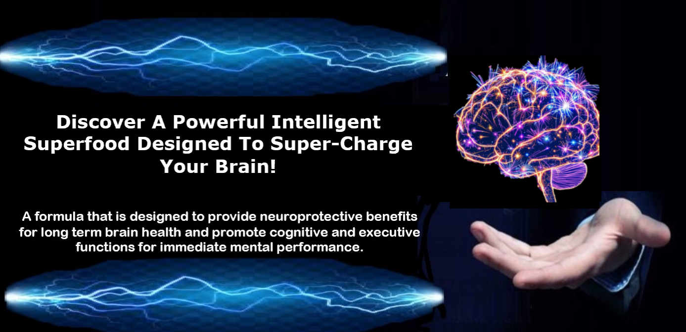 Seismic6 Intelligent Super Food For Your Brain
